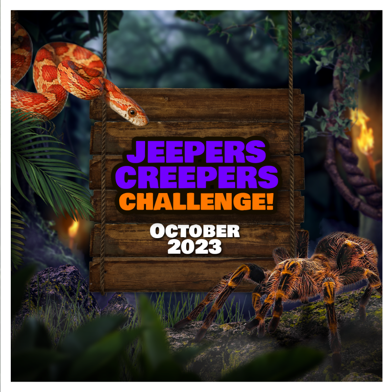 Explorer-Rangers-Oct - Sunway Lagoon, Malaysia